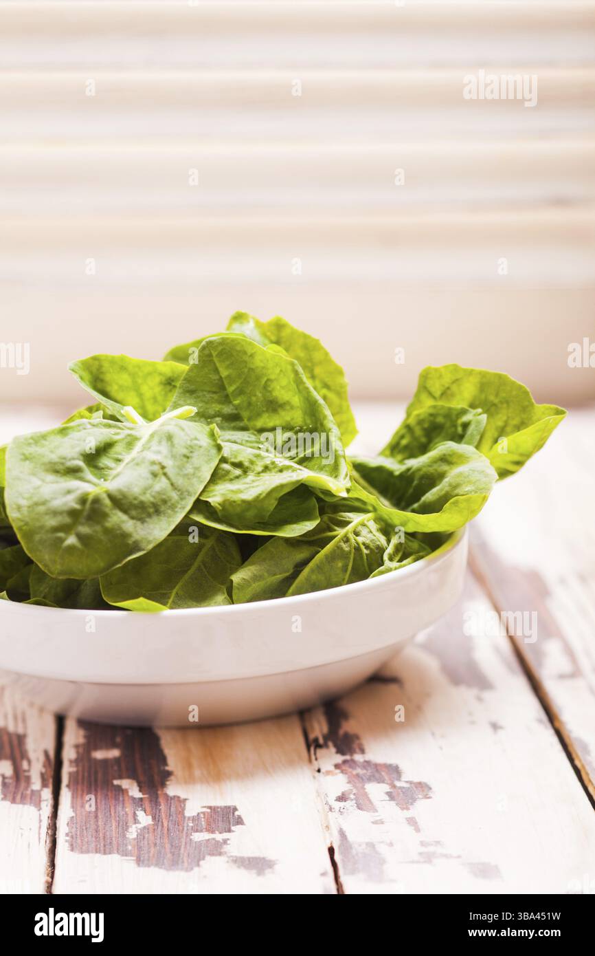 Small spinach plants hi-res stock photography and images - Alamy