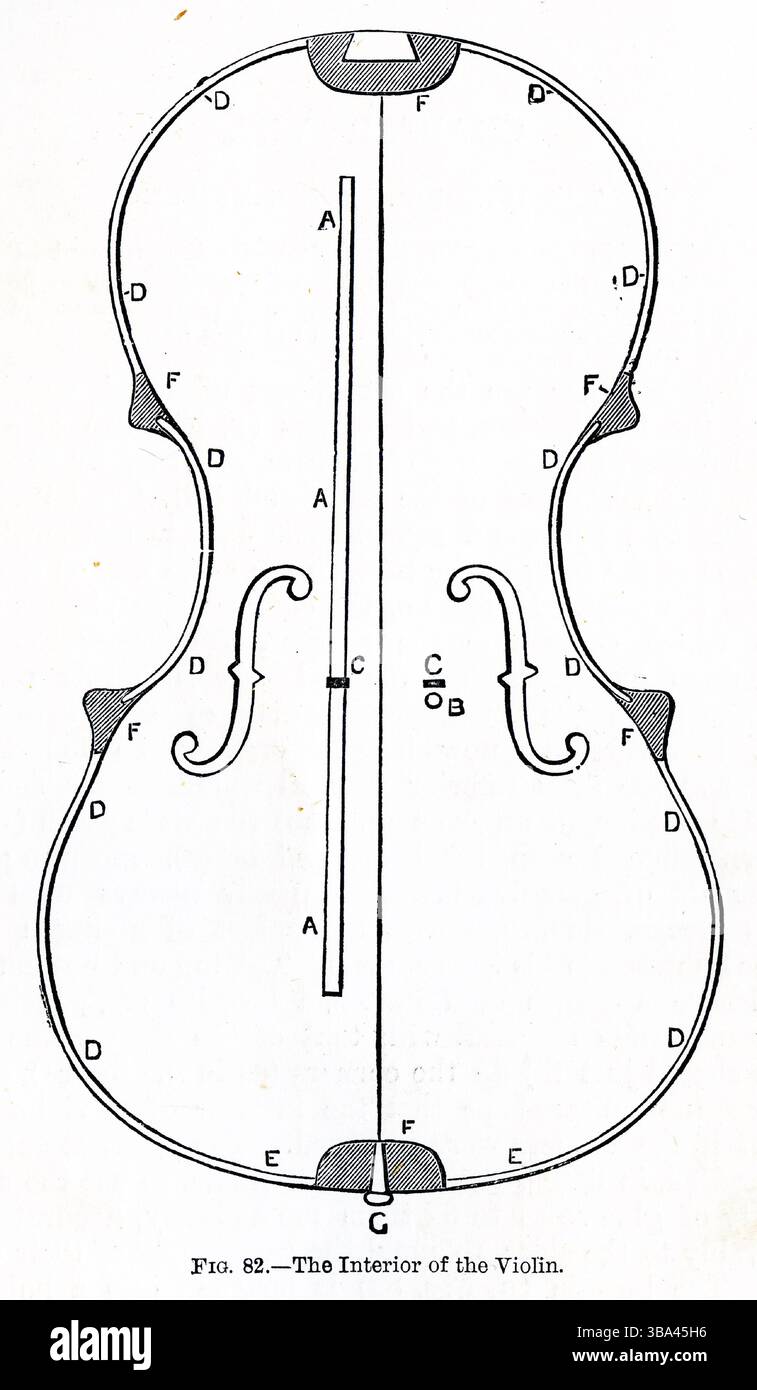 Diagram of the interior of a violin,, from the book Making Violins ...