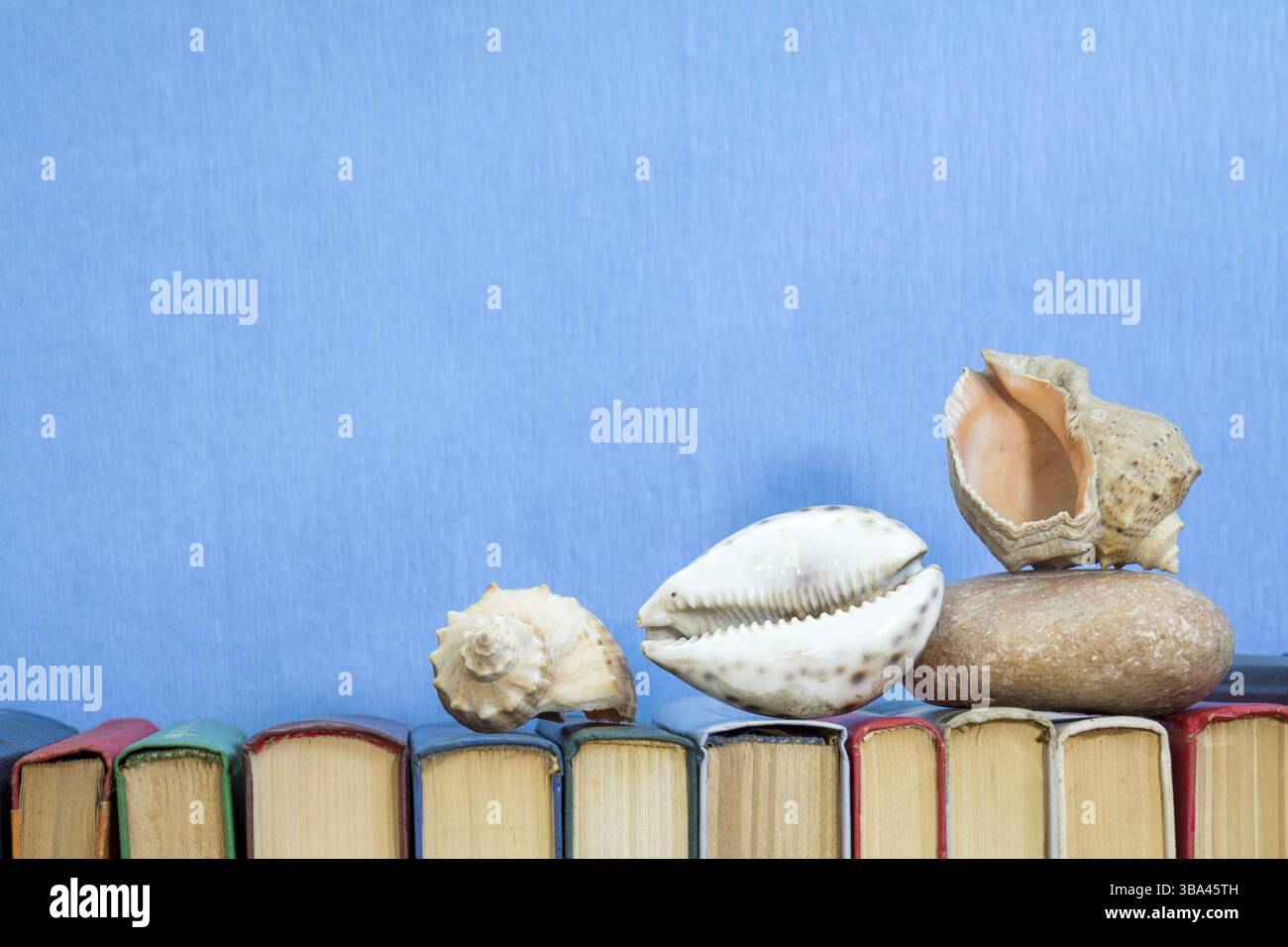 Assembling books hi-res stock photography and images - Alamy