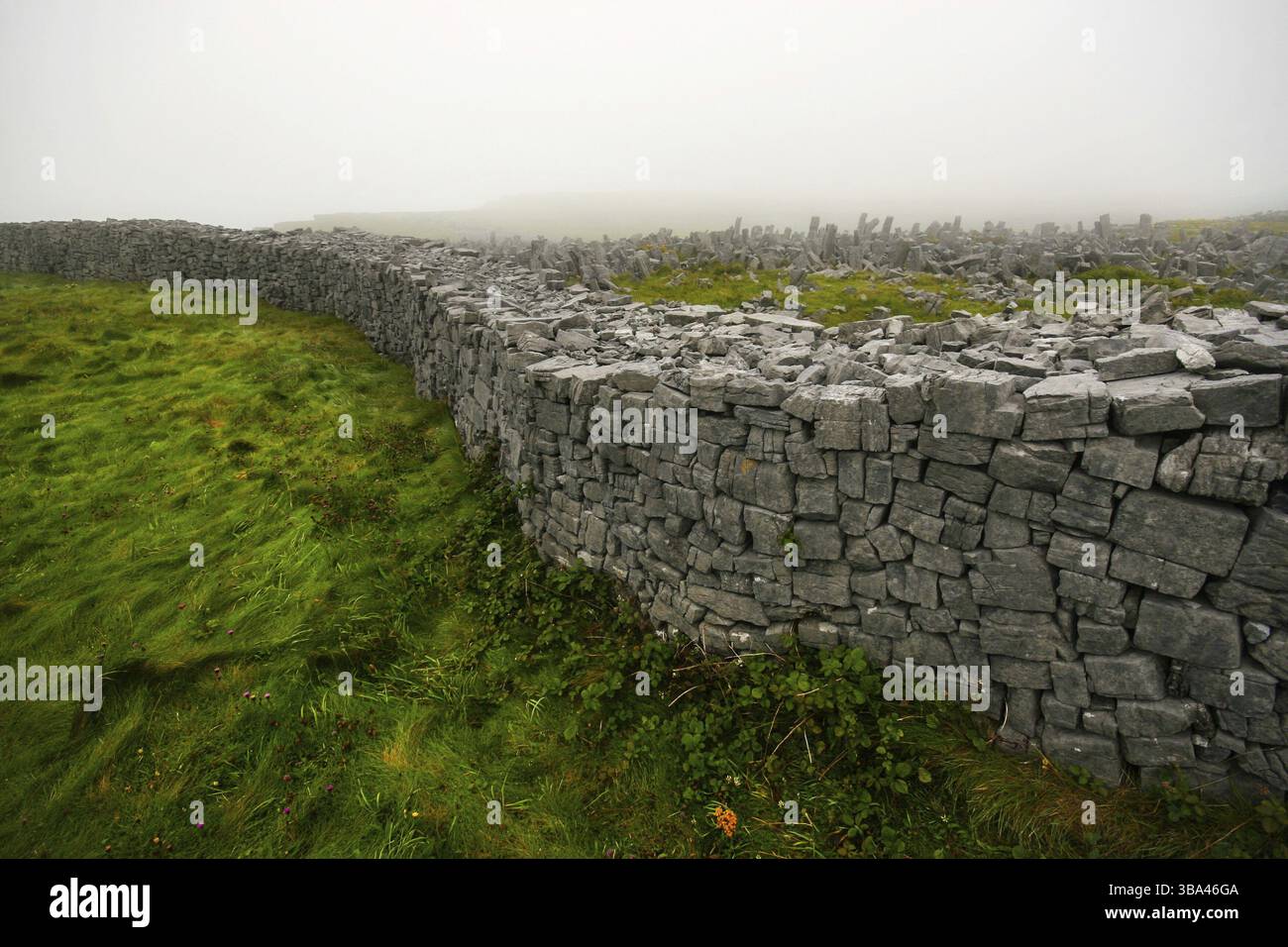 Stone brick walls rising from soft grass near Dun Aonghasa - semi ...