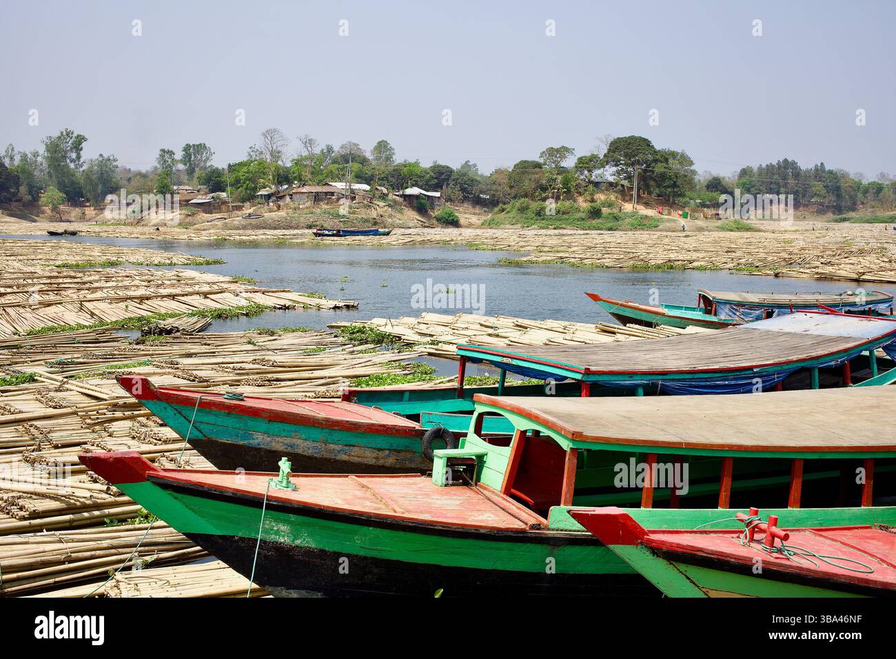 Bamboo bundles tied into rafts float on Kaptai Lake, ready to be ...