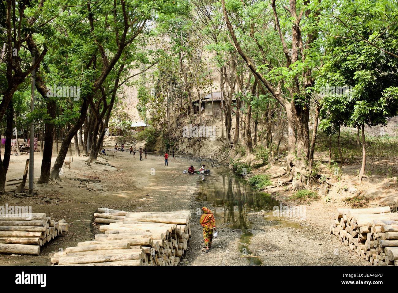 Stacked logs, children playing, and women collecting water from a drying stream amid deforested ...