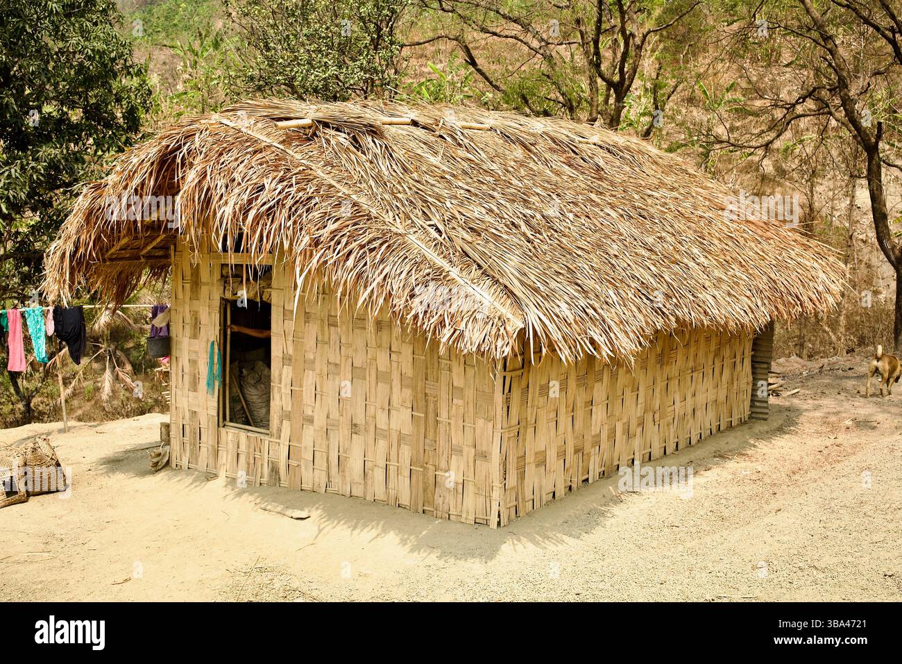 Traditional bamboo and thatch house in Laimi Para, Bandarban Hill District, reflecting ...