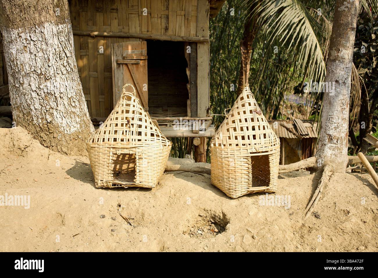 Chicken in bamboo cage hi-res stock photography and images - Alamy