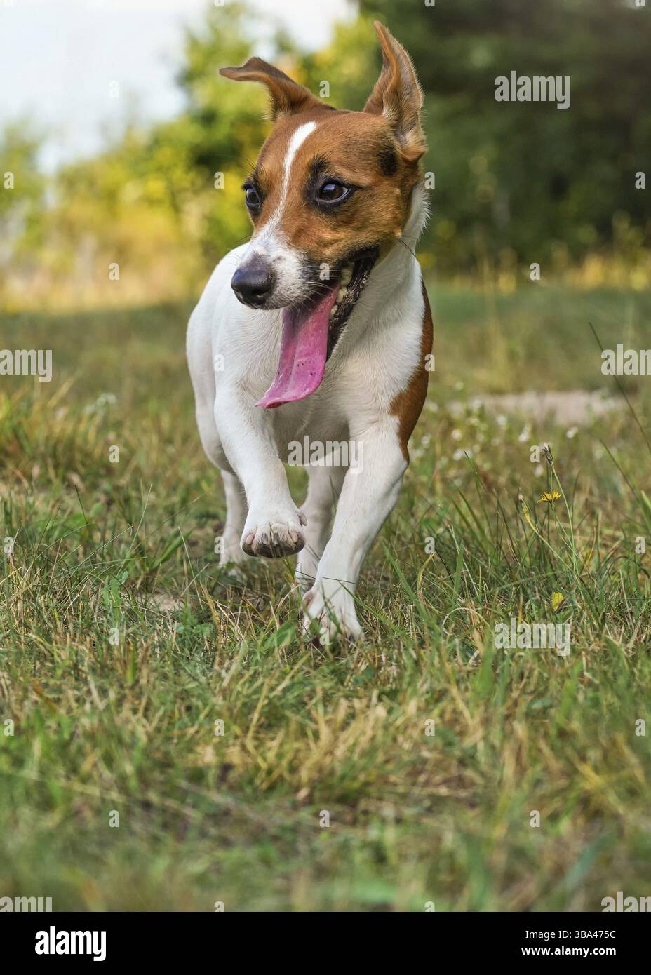 Childs road running race hi-res stock photography and images - Alamy