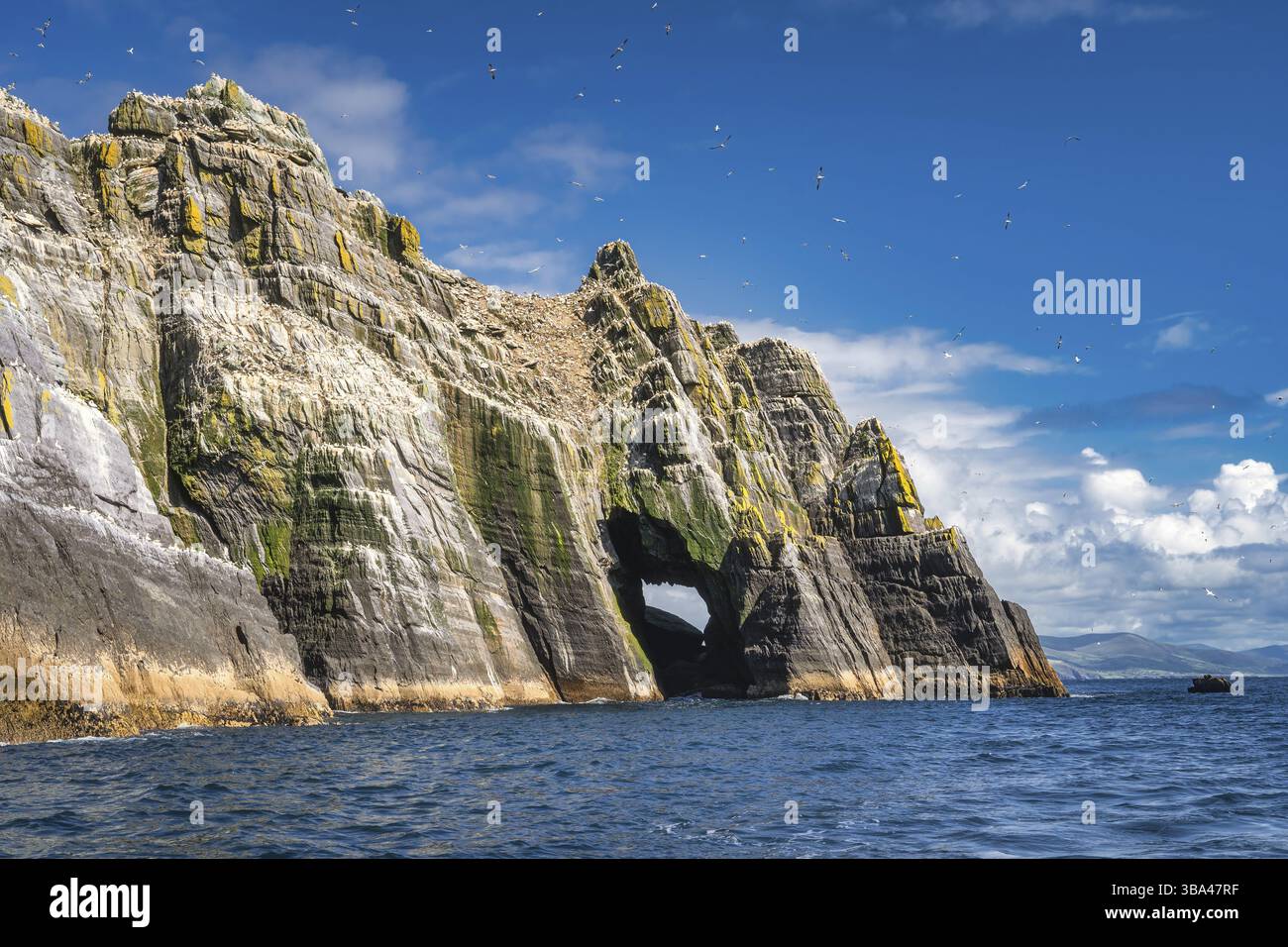 Natural arch or cave in Little Skellig island with hundreds of Gannets ...