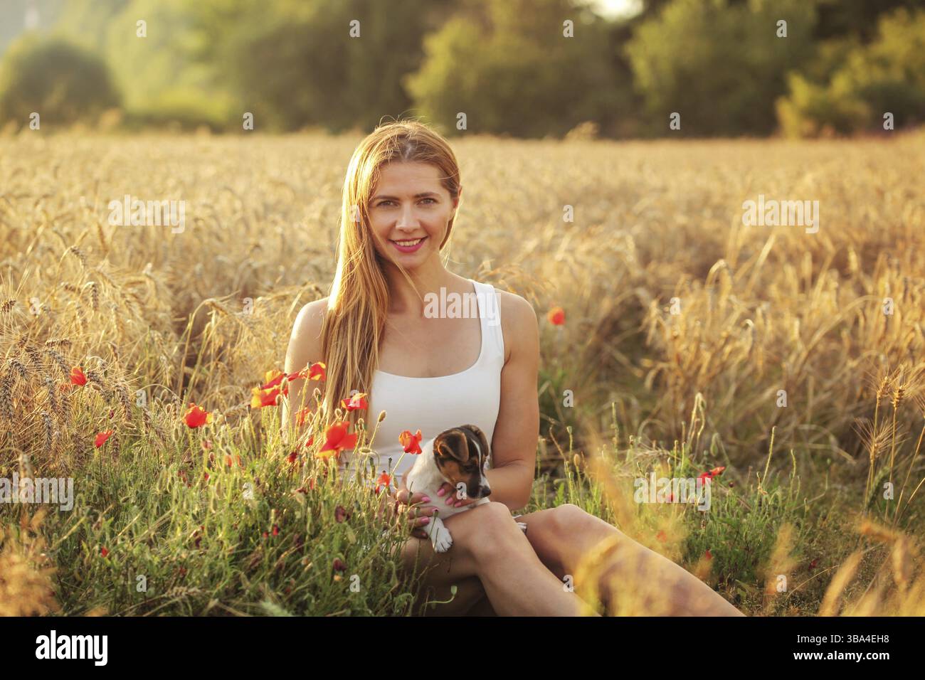 Woman dog in poppy field hi-res stock photography and images - Alamy
