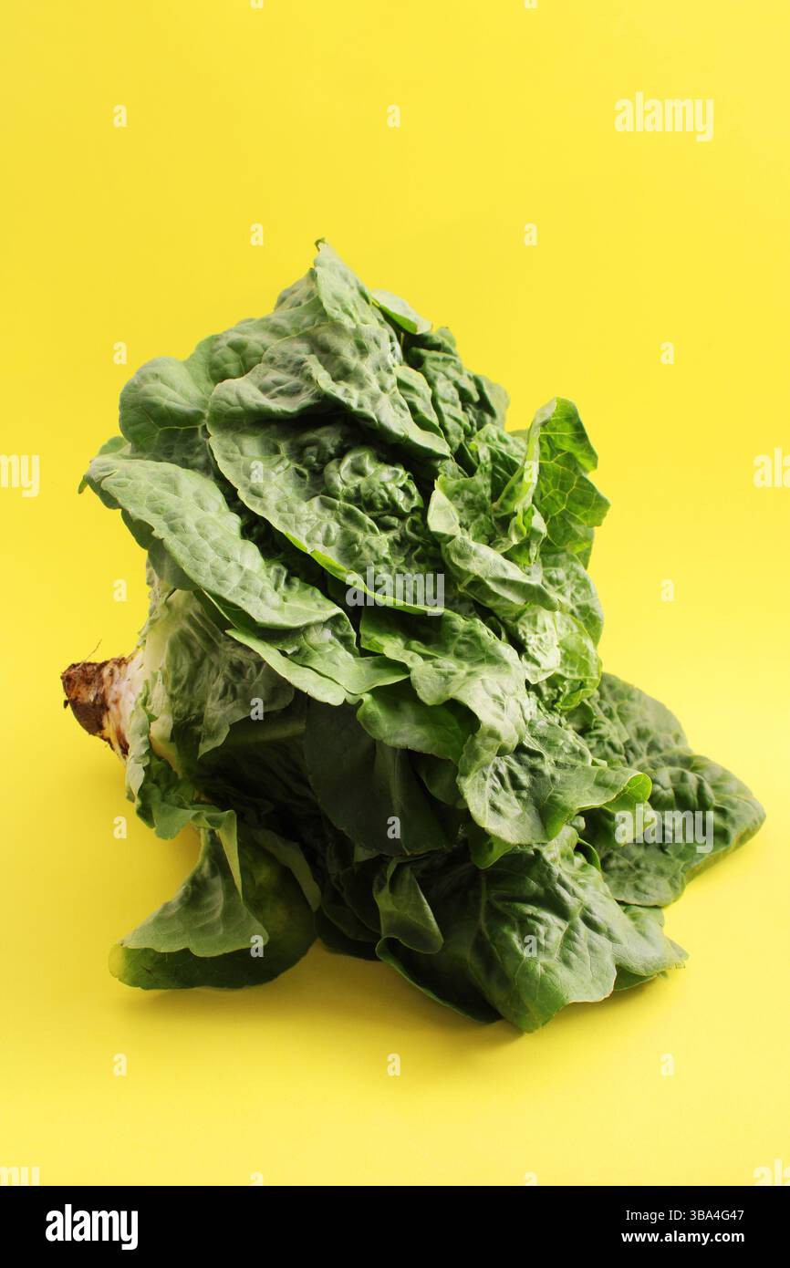 Beautiful lettuce with fresh green leaves - vertical format Stock Photo ...