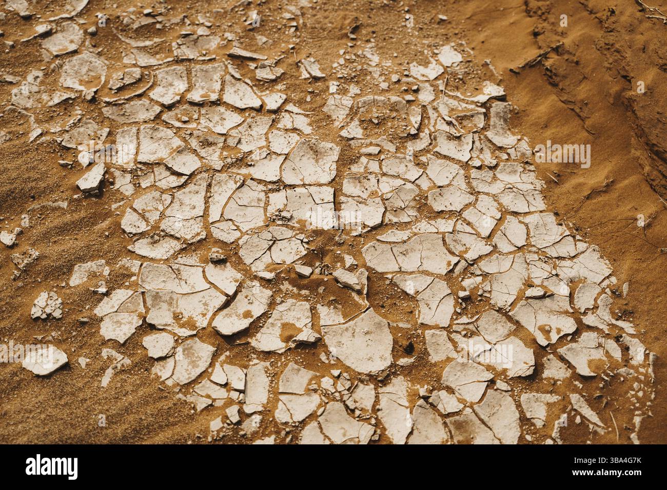 Dried out desert area and background sand structure Stock Photo - Alamy