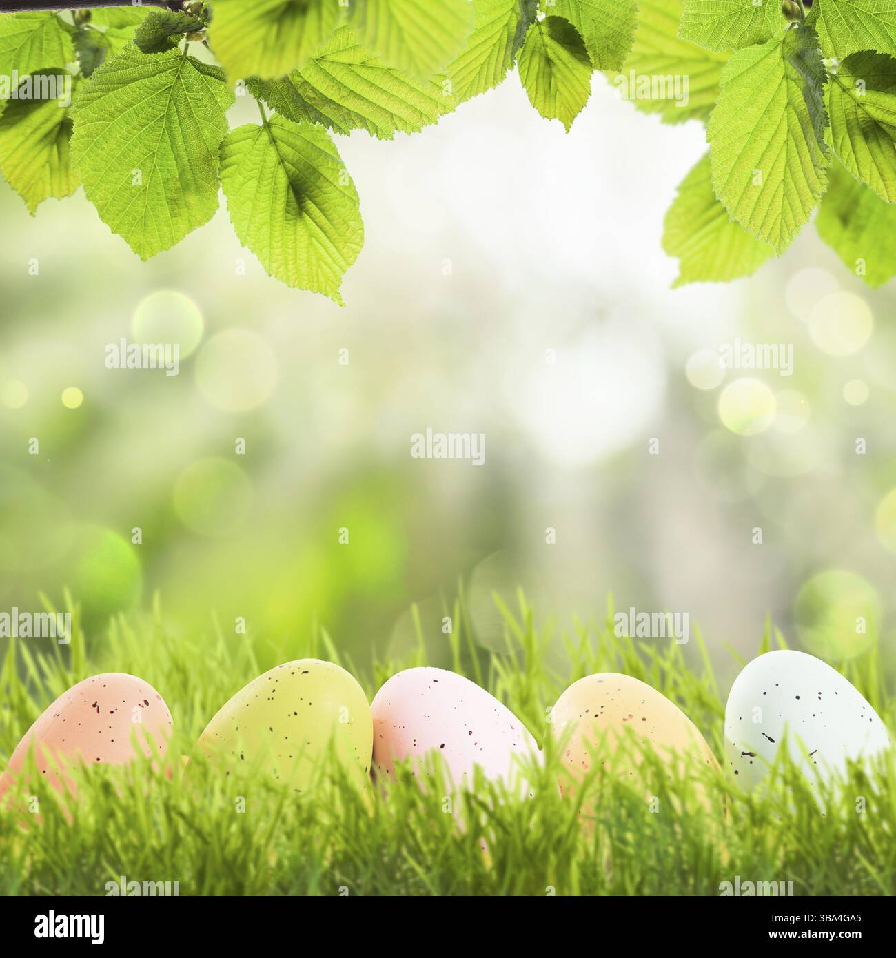 Spring background with green grass and Easter eggs Stock Photo - Alamy