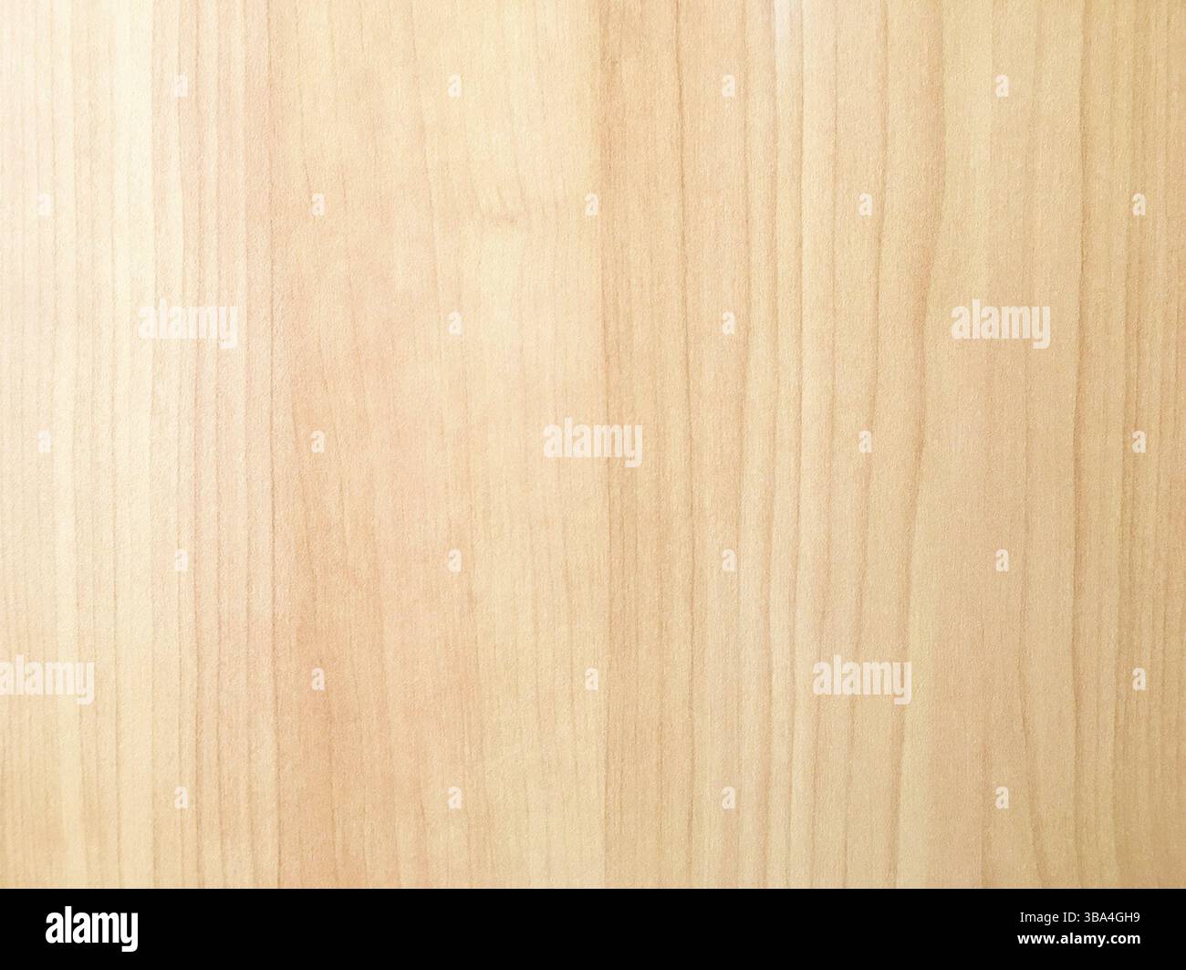 Light soft wood surface as background, wood texture. Grunge washed wood ...
