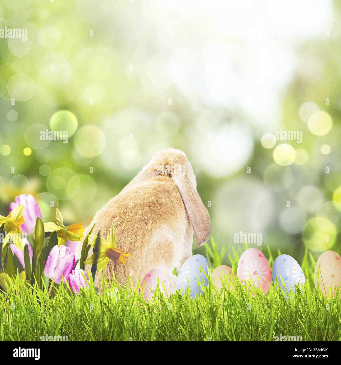 Easter greetings with grass, spring flowers, bunny and eggs Stock Photo ...
