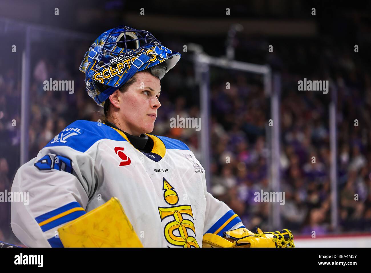 May 11th, 2025: Toronto Sceptres goalie Kristen Campbell (50) looks on during a PWHL semi-finals ...
