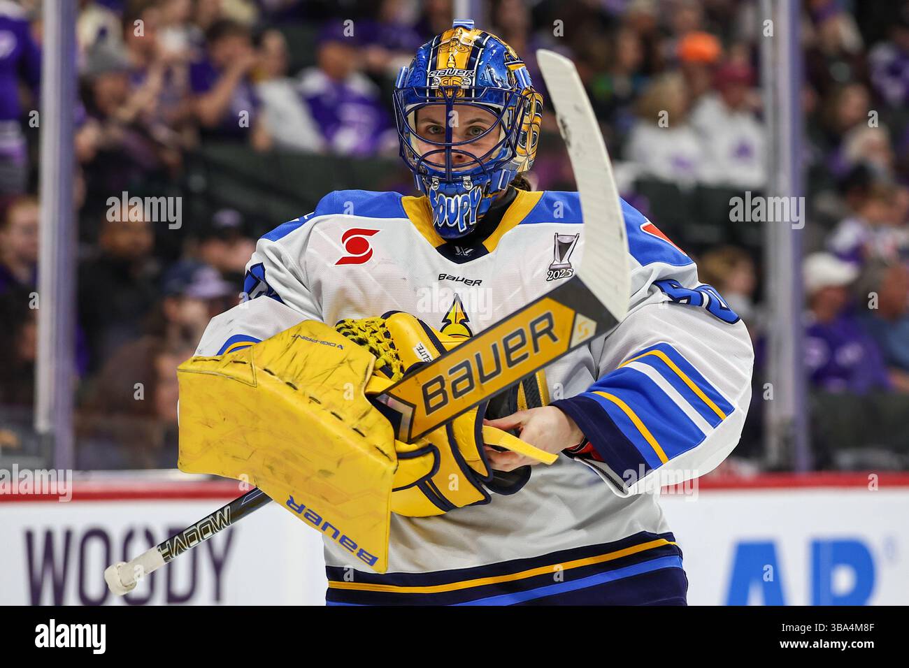 May 11th, 2025: Toronto Sceptres goalie Kristen Campbell (50) looks on during a PWHL semi-finals ...