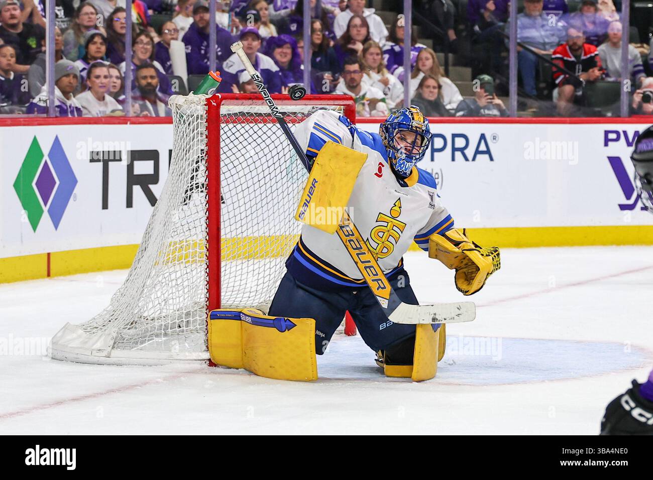 St. Paul, USA. 11th May, 2025. May 11th, 2025: Toronto Sceptres goalie Kristen Campbell (50 ...