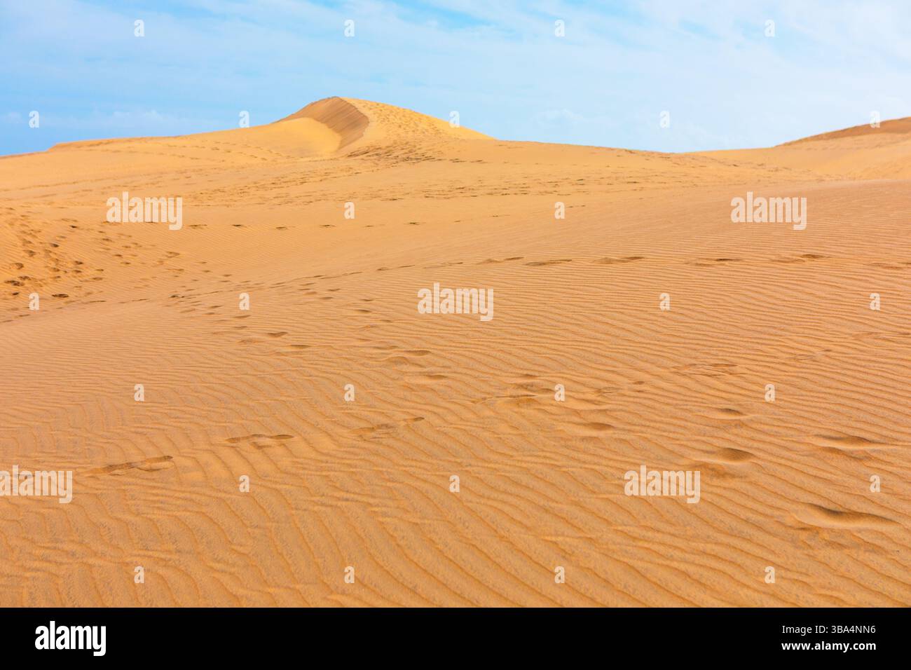 Vast desert landscape with rolling sand dunes stretching under blue sky, featuring prominent ...