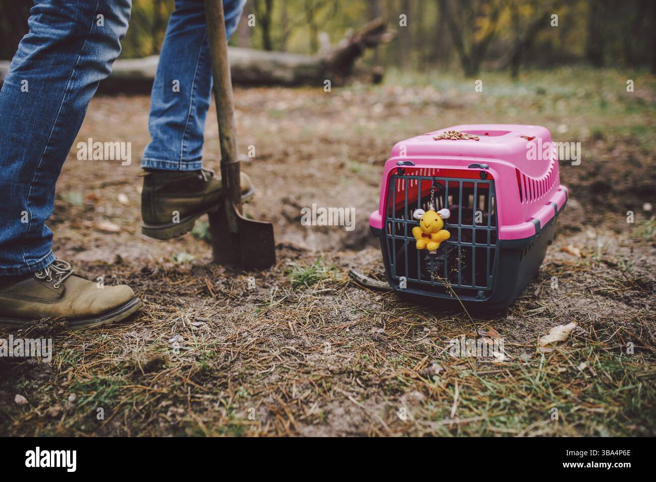 Scary horror scene man digs grave for animal in forest. Terrible loss ...