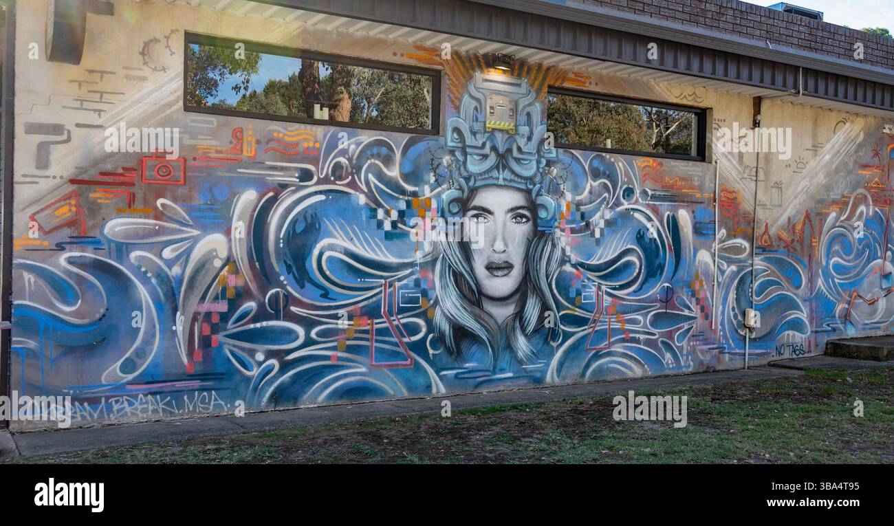 Street Art by Skr3am, Eltham North, Victoria, Australia Stock Photo - Alamy