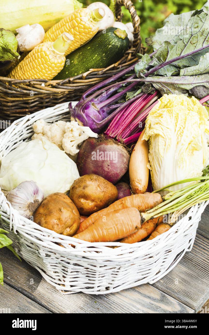 Various root vegetables in a basket, garden crop Stock Photo - Alamy