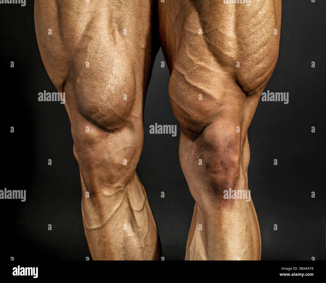 Detail of male bodybuilder front leg muscles on black background ...