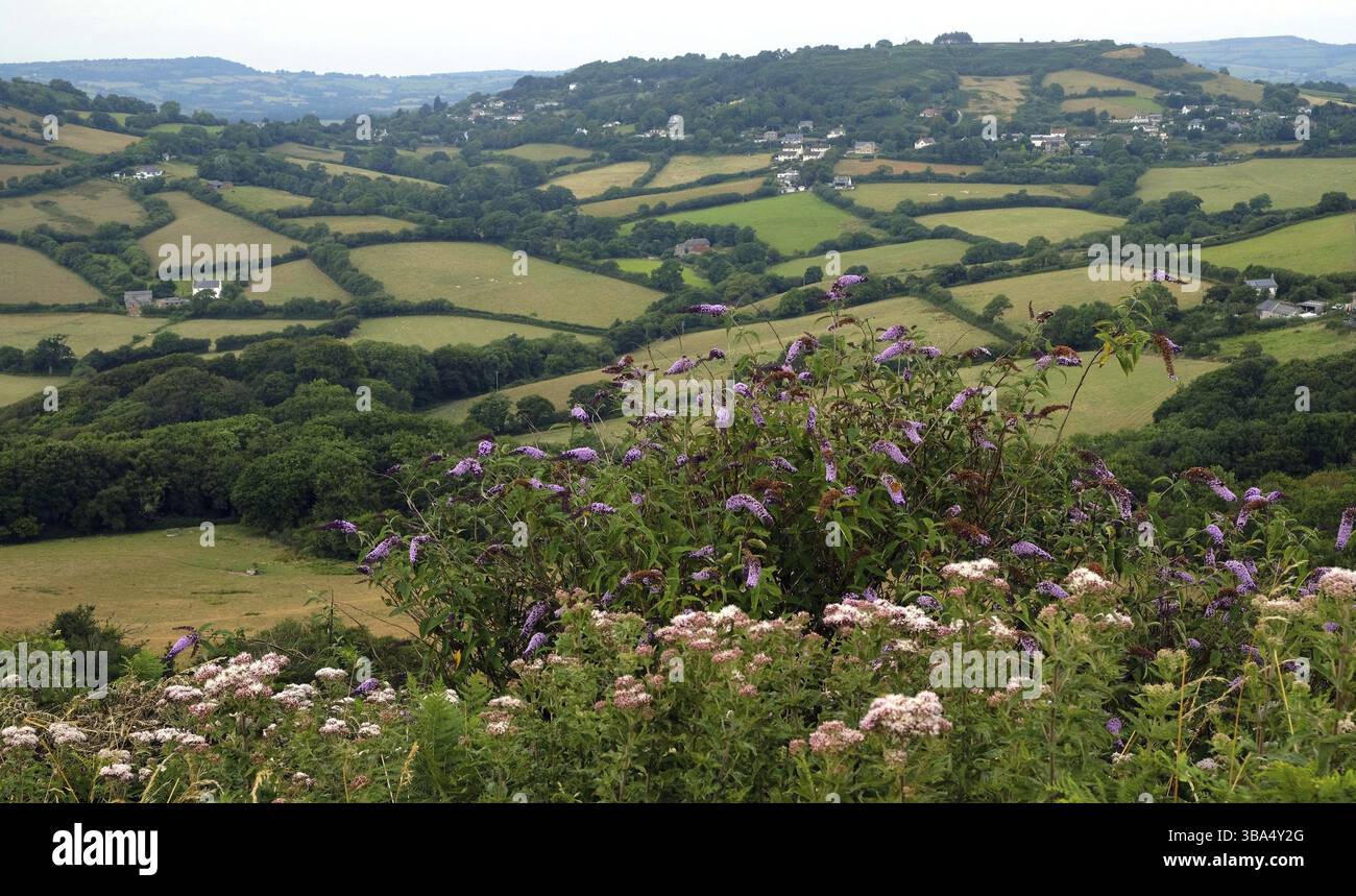 Green fields on a hill with the sea English Channel and English ...