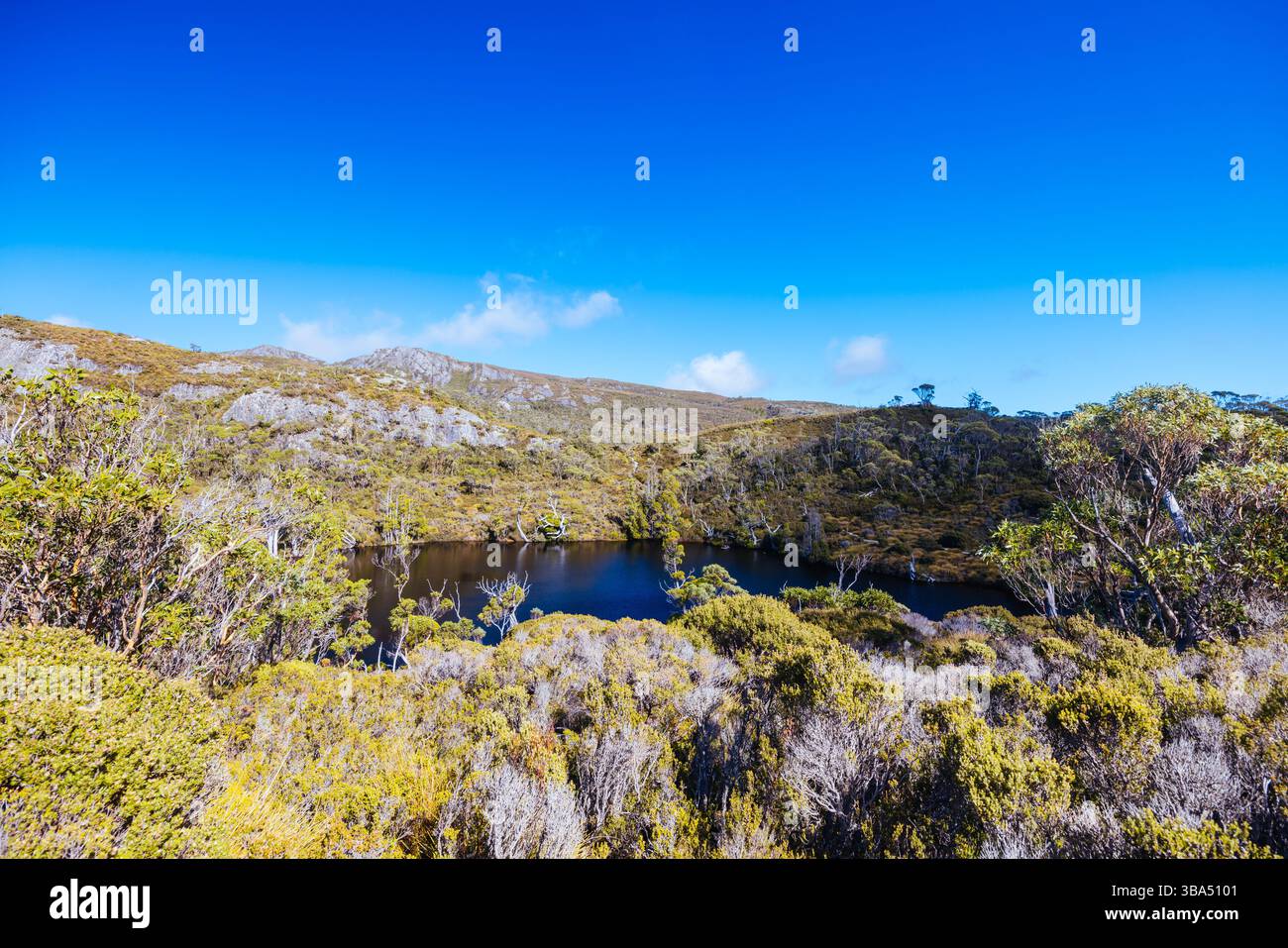 Wombat Pool at Cradle Mountain in Tasmania Australia Stock Photo - Alamy