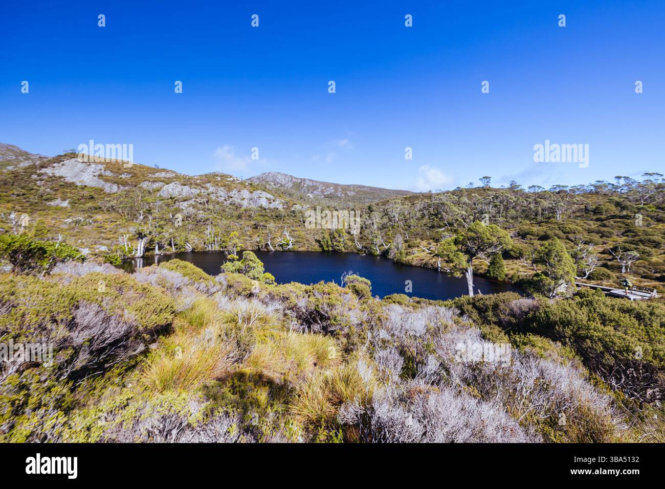 Wombat Pool at Cradle Mountain in Tasmania Australia Stock Photo - Alamy