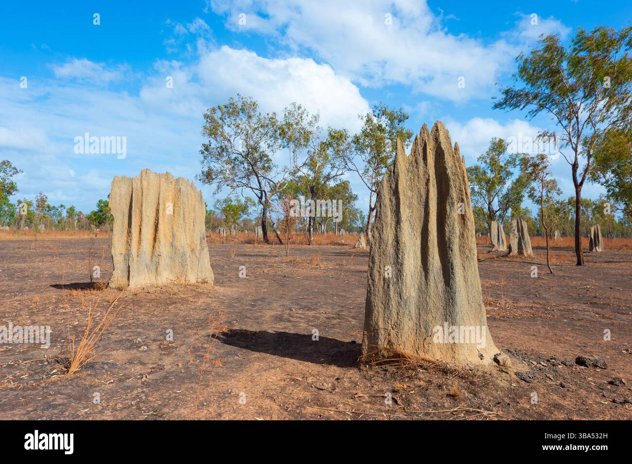 Spectacular termite mounds in Nifold Plain, Lakefield National Park ...
