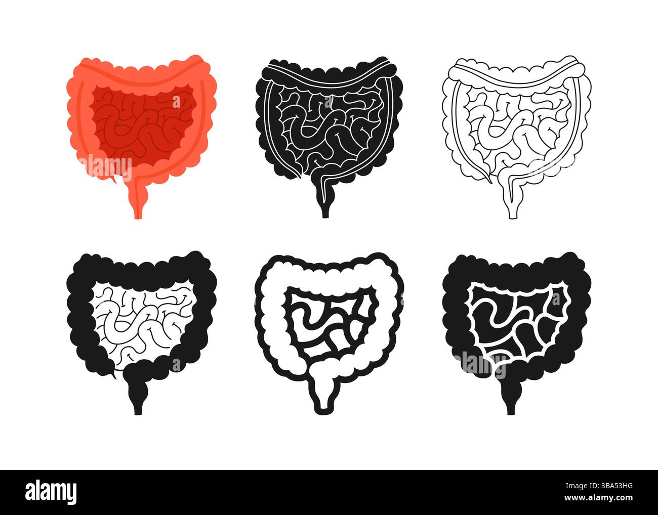 Human intestine anatomy cartoon symbol set. Anatomical small and large ...