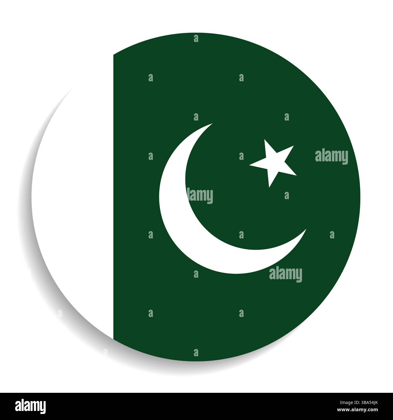 Flag of Pakistan. Pakistan circle flag logo icon computer vector ...