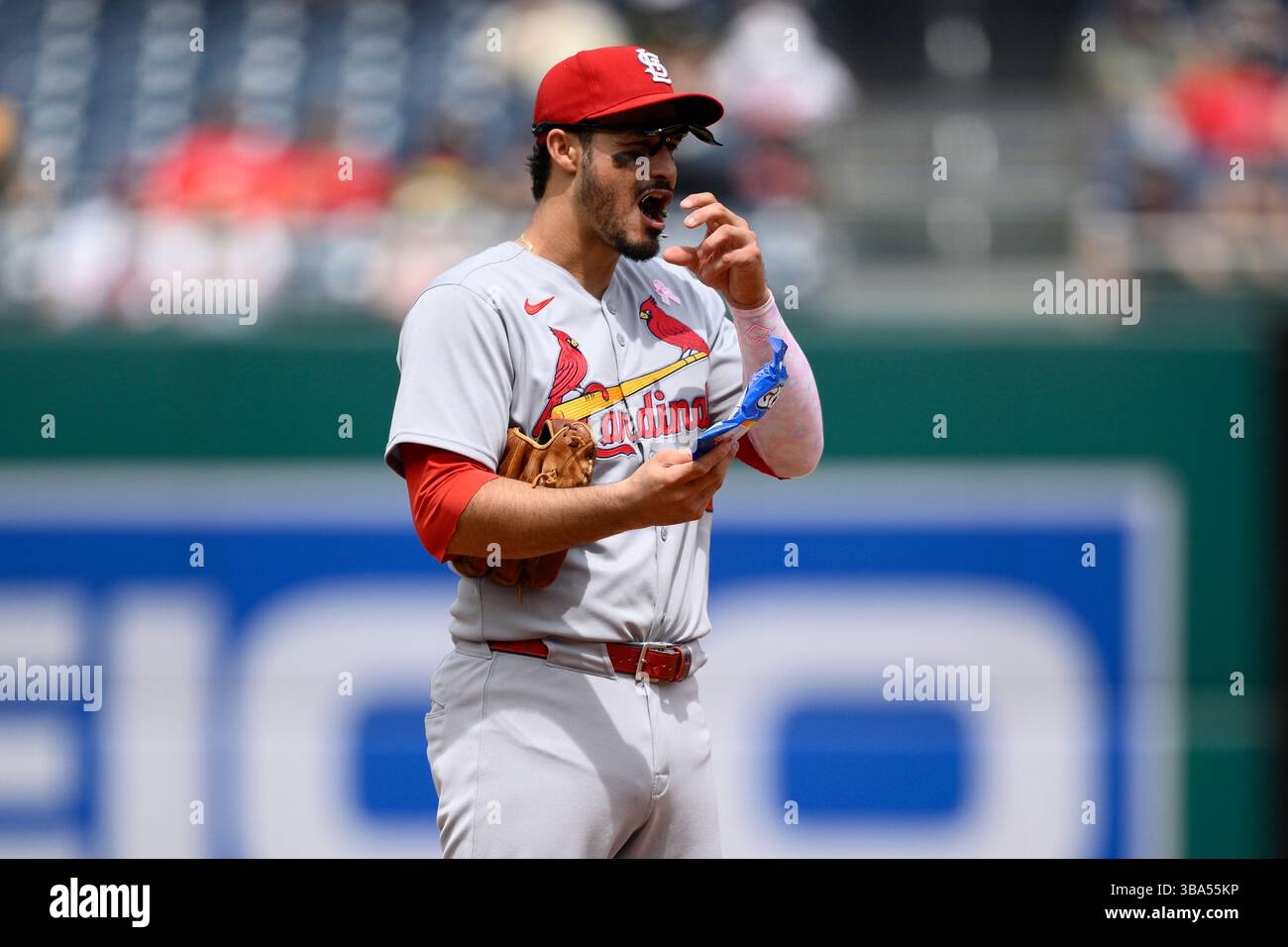 St. Louis Cardinals third baseman Nolan Arenado (28) has some sunflower ...
