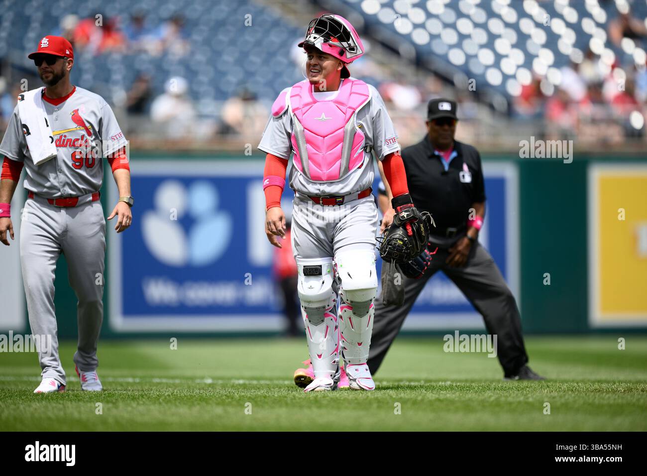 St. Louis Cardinals catcher Yohel Pozo (63) before a baseball game ...