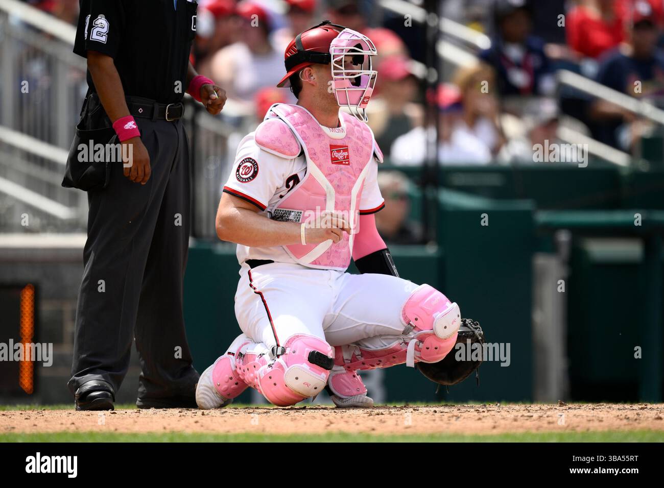 Washington Nationals catcher Riley Adams (15) in action during a ...