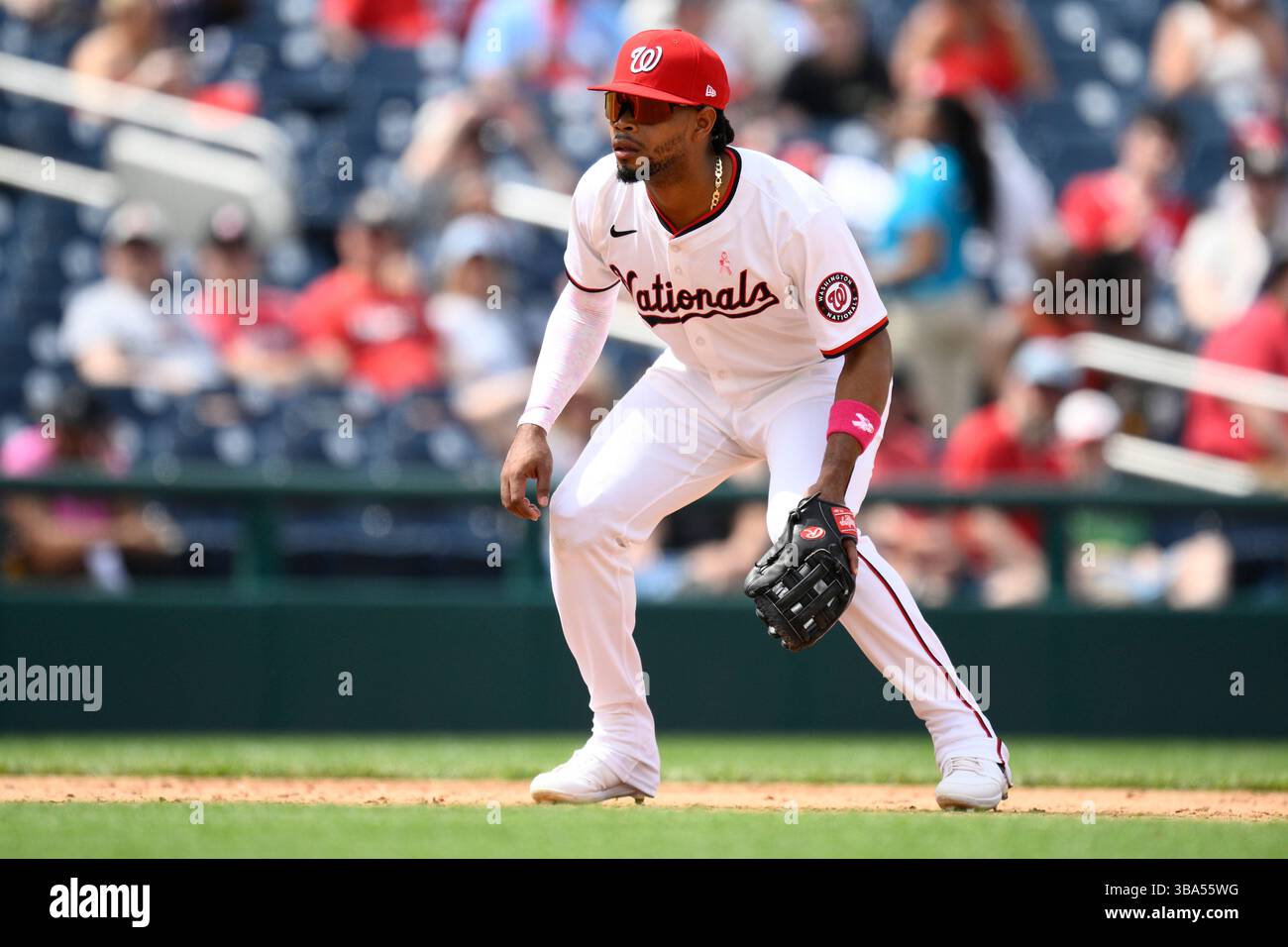 Washington Nationals third baseman Jose Tena (8) in action during a ...