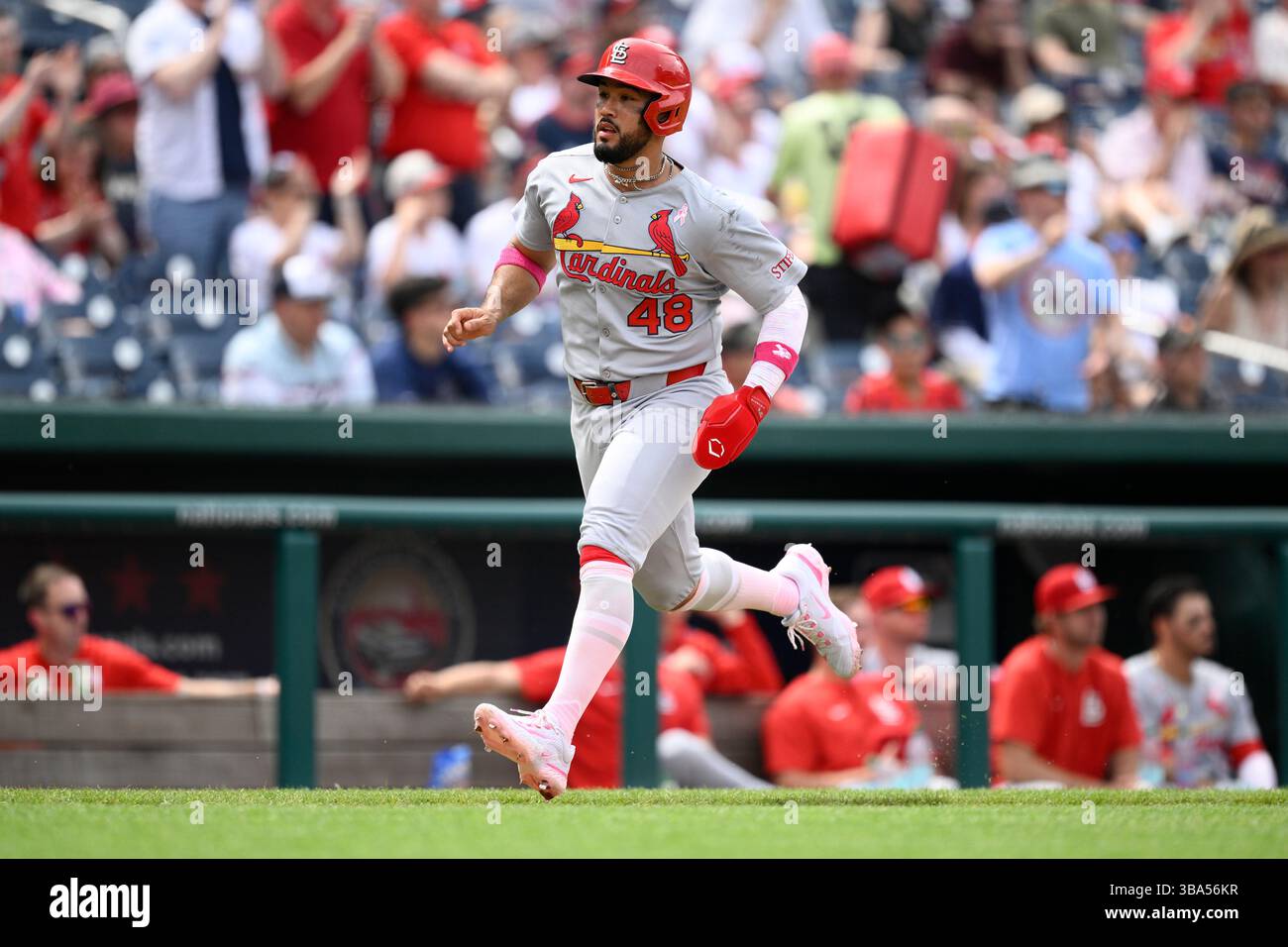 St. Louis Cardinals' Ivan Herrera in action during a baseball game ...