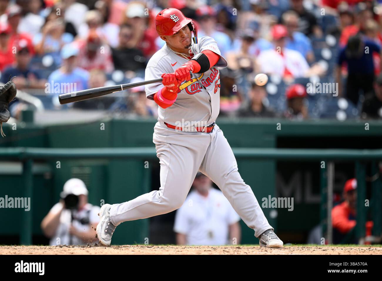 St. Louis Cardinals' Yohel Pozo in action during a baseball game ...