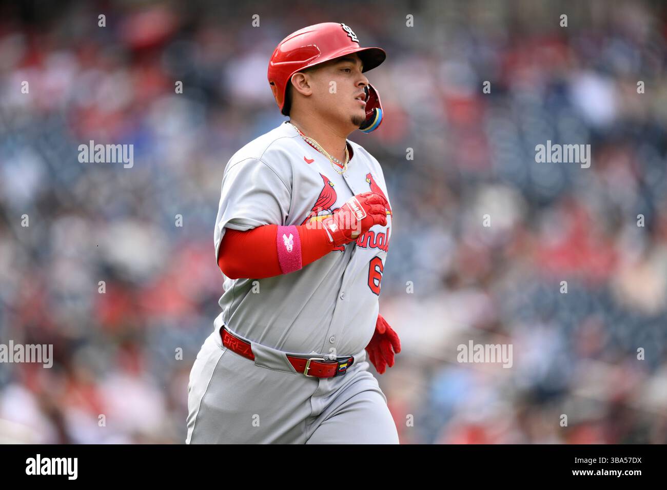 St. Louis Cardinals' Yohel Pozo in action during a baseball game ...