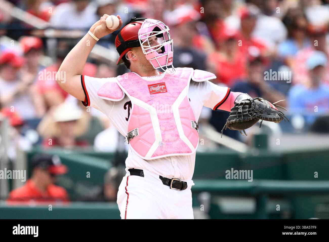 Washington Nationals catcher Riley Adams (15) in action during a ...