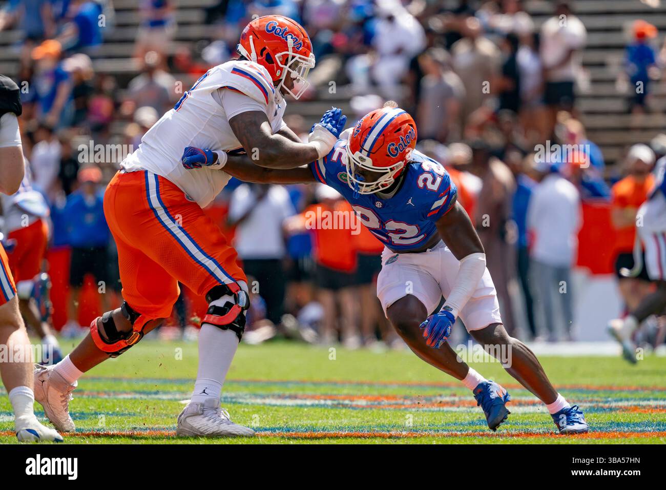 GAINESVILLE, FL - APRIL 12: Florida Gators edge Kofi Asare (22) rushes ...