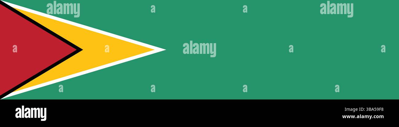 Flag of Guyana. Guyana flag long banner digital vector illustration ...