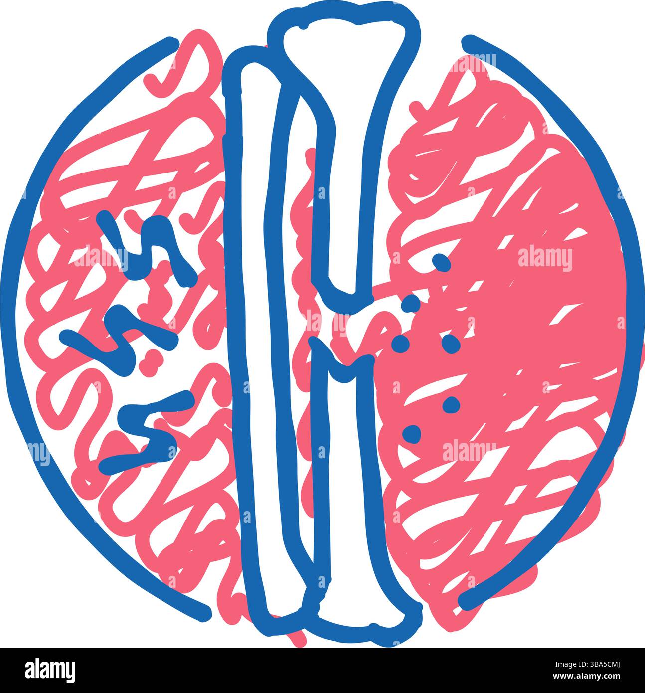 tibia fracture osteoporosis bone icon doodle illustration Stock Vector ...
