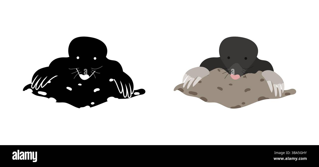 Mole digging and emerging from the ground and its silhouette Stock ...