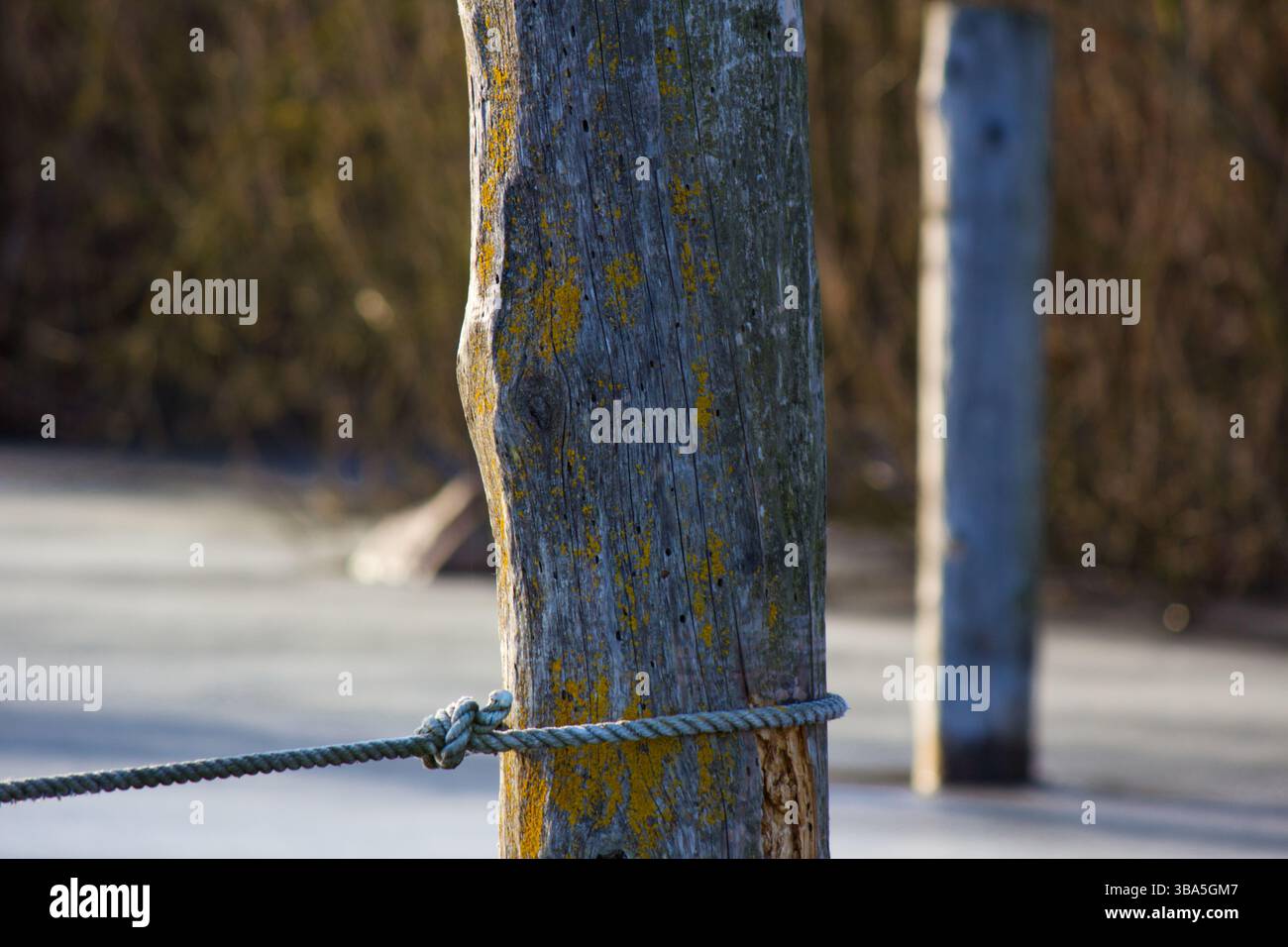 nautical rope tied around old timber Stock Photo - Alamy