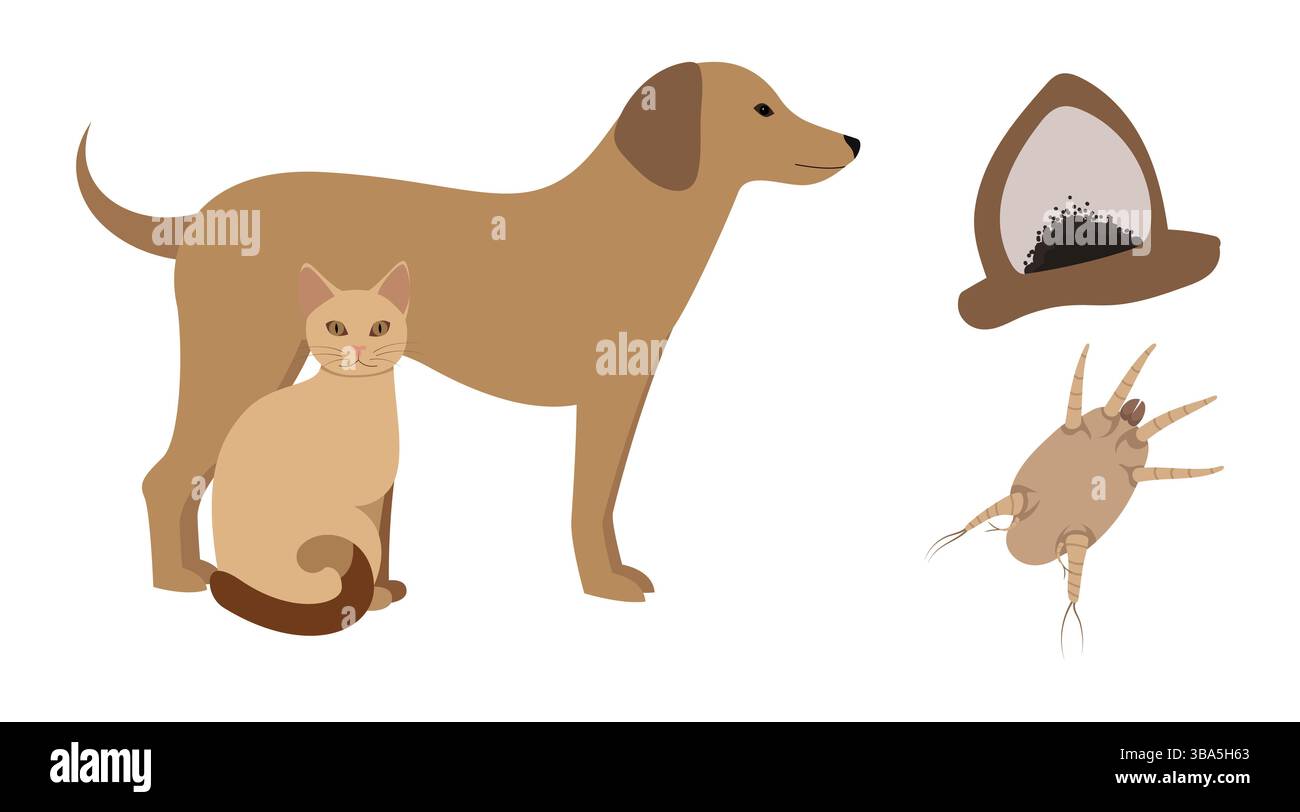 Dog and cat having ear mites parasite Stock Vector Image & Art - Alamy