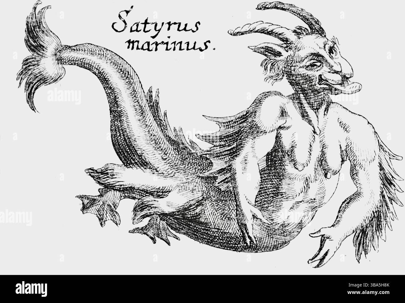 Johann zahn illustration hi-res stock photography and images - Alamy