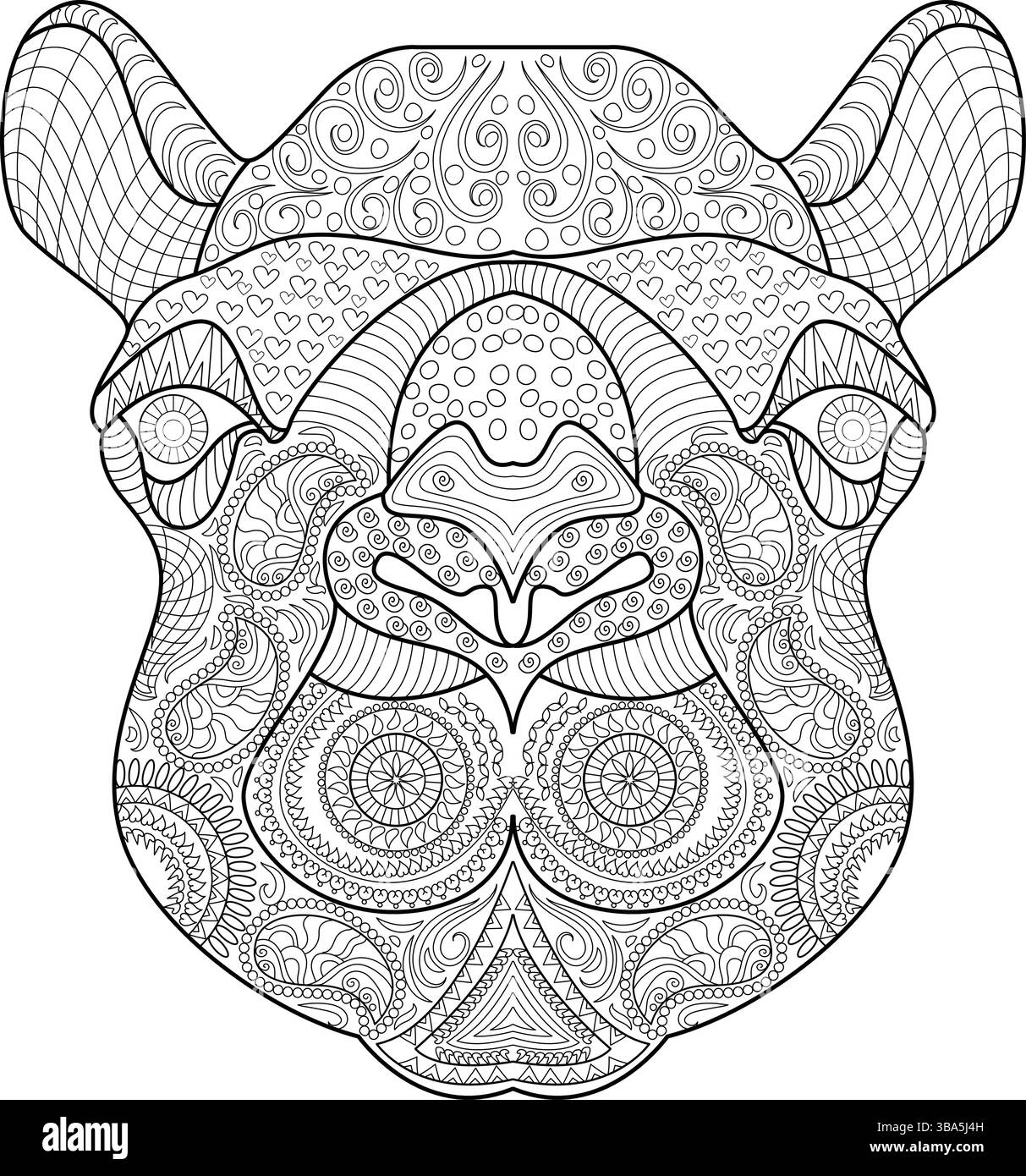 Detailed black and white line art illustration of a camel's face ...