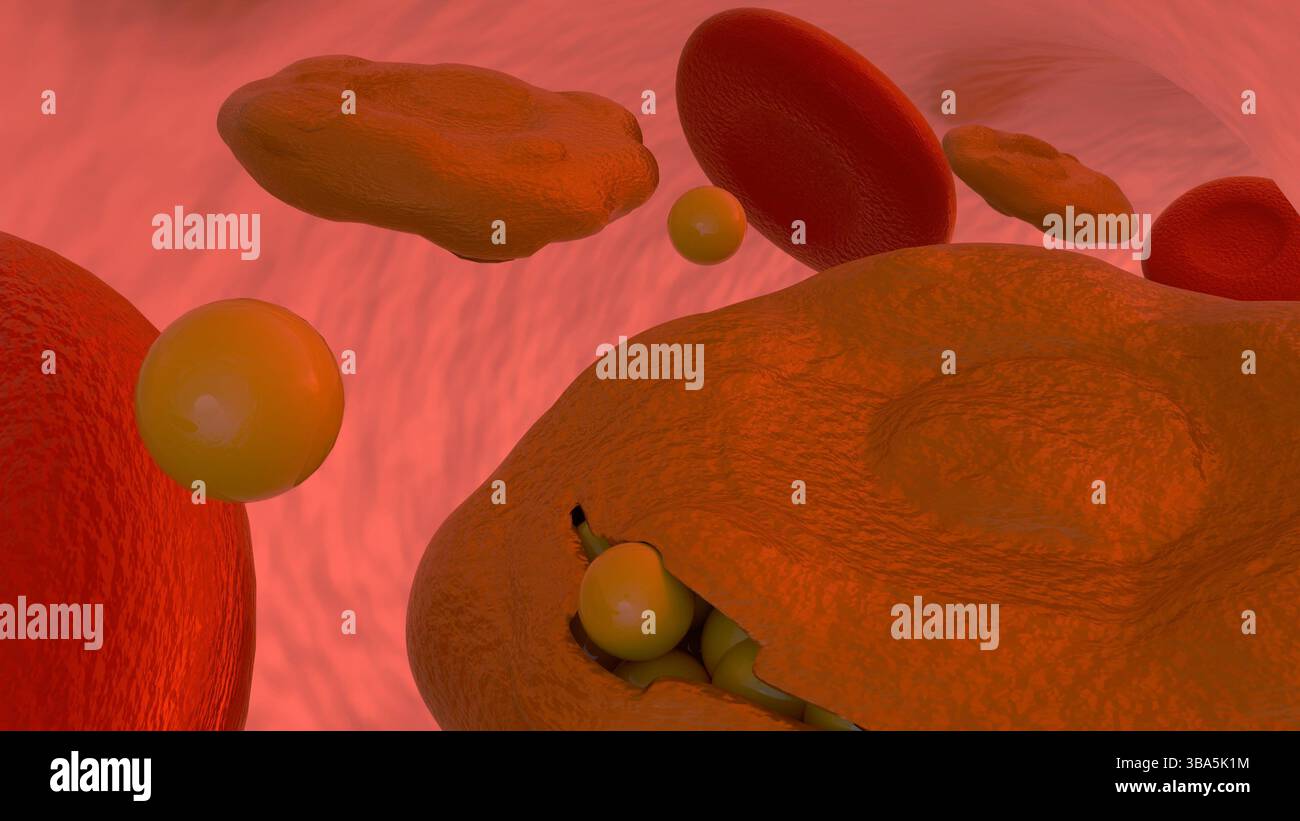 A 3d rendering of red blood cell reveals an internal infestation of ...