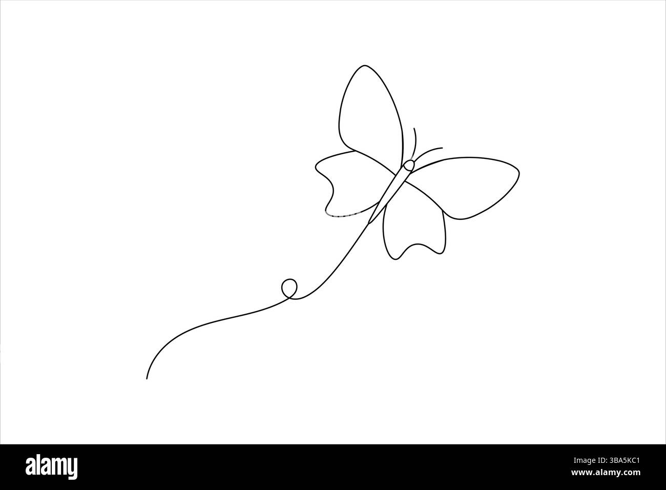Butterfly line drawing Black and White Stock Photos & Images - Alamy