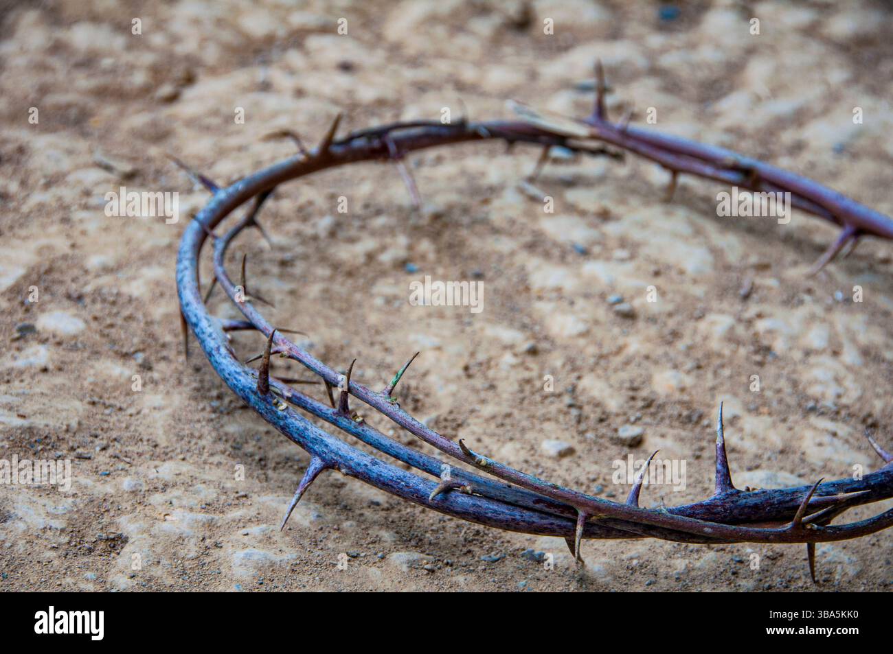 The sharp thorns of this crown tell the story of love shown through ...