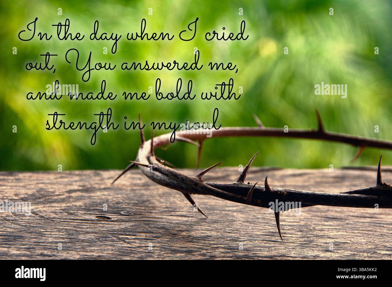 Bible verse overlays a thorn crown, beautifully expressing how divine ...